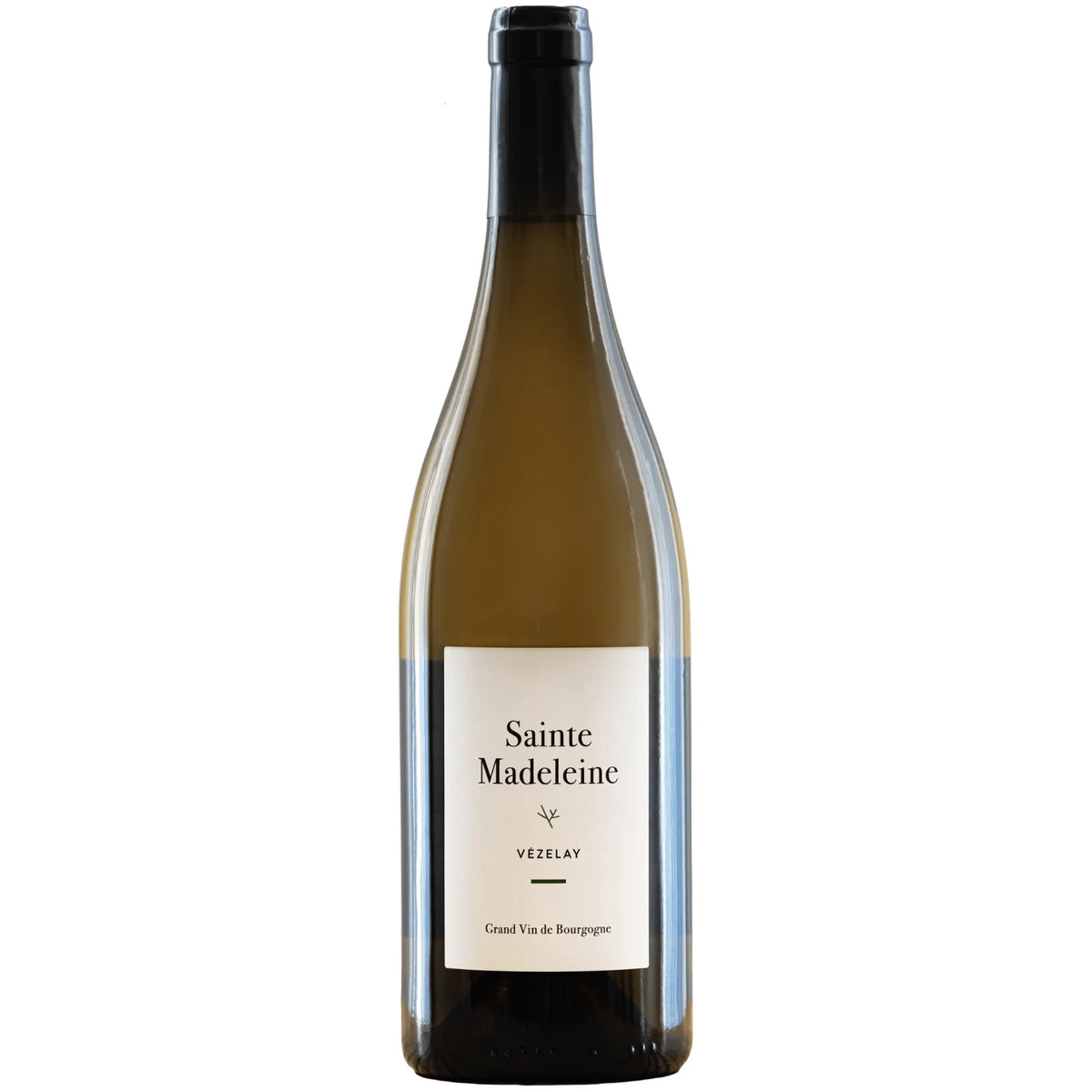 Sainte Madeleine Vezelay 2022 750 ML – WineOnlineDelivery